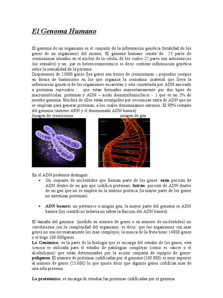 El Genoma Humano | PDF
