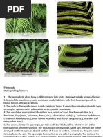Sphenophyllum: Anatomy and Reproduction | PDF | Plant Stem | Leaf