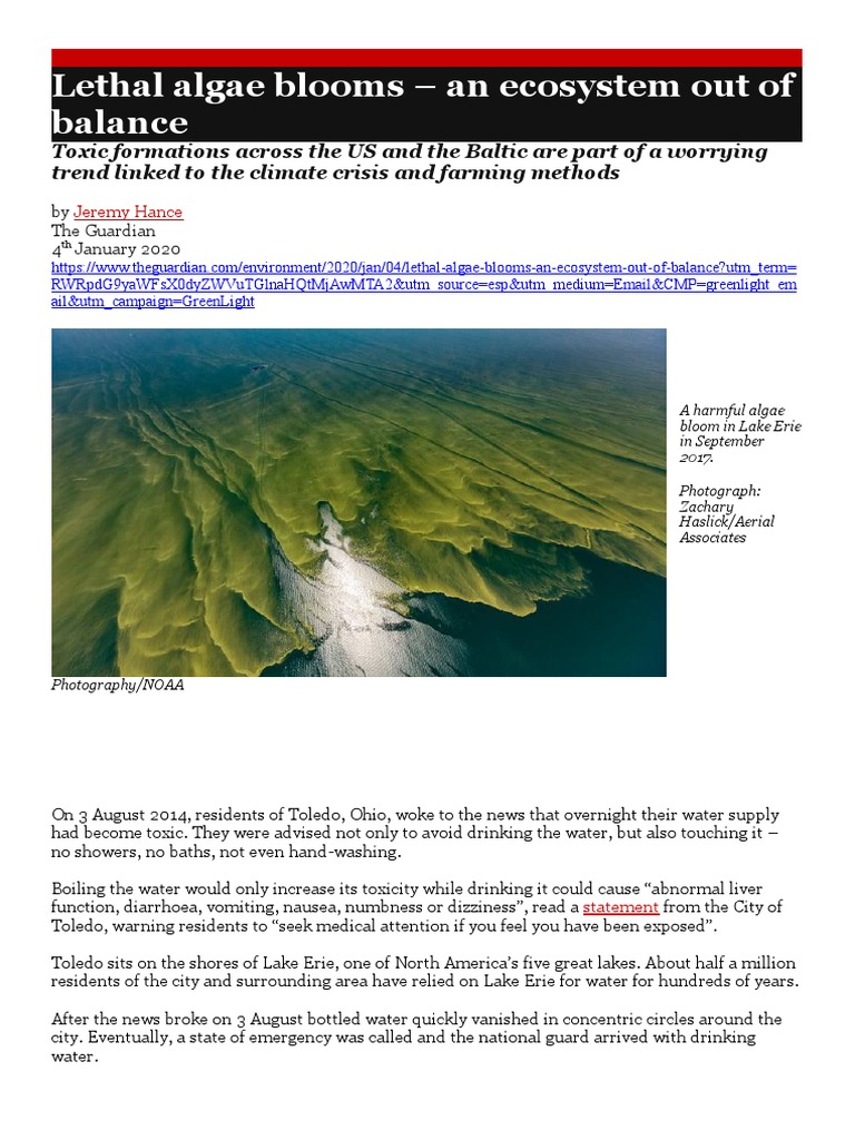 Lethal Algae Blooms and Ecosystem Crisis | PDF | Lake Erie | Algae