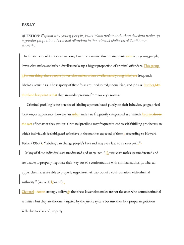 Sociology Essay Example | PDF | Crimes | Crime & Violence