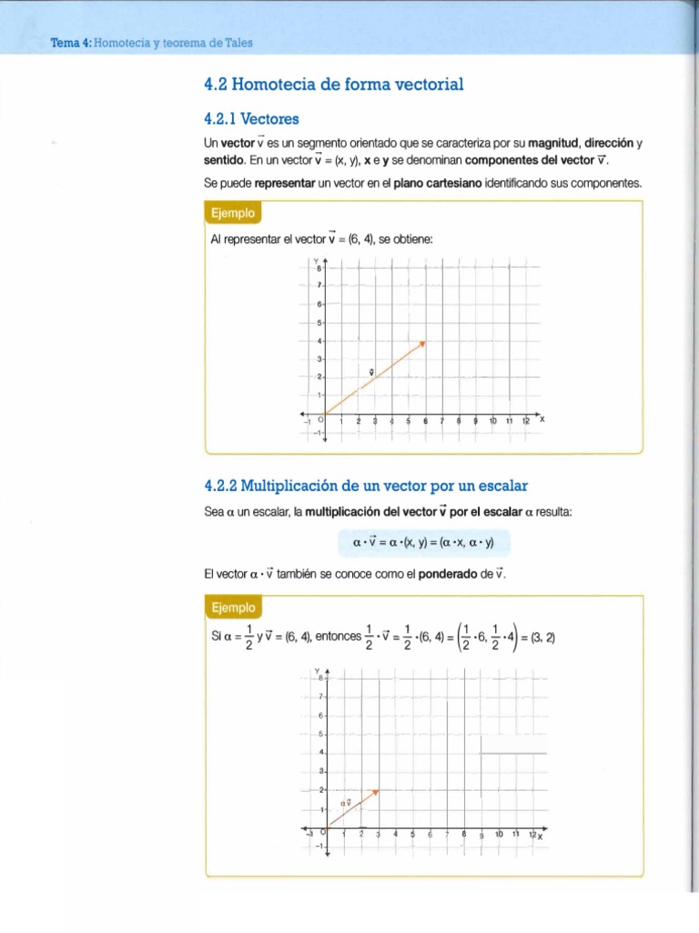 Clase 1ro Medio Vectores | PDF | Vector Euclidiano | Triángulo