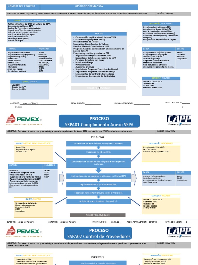 Mapa de Procesos SSPA | PDF | Auditoría | Business