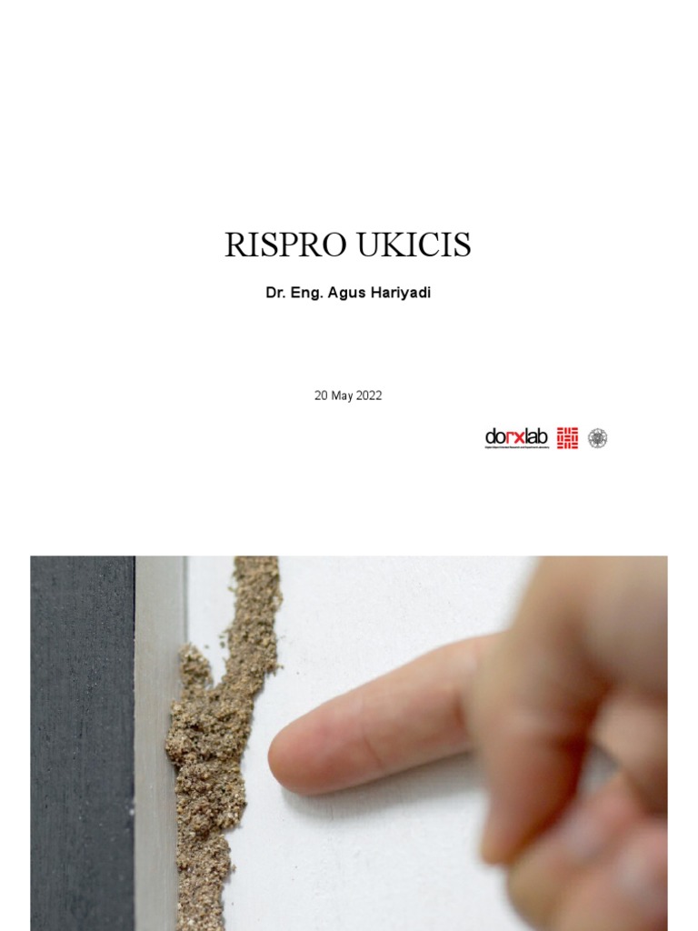 RISPRO Presentation 20220520 | PDF | Computing