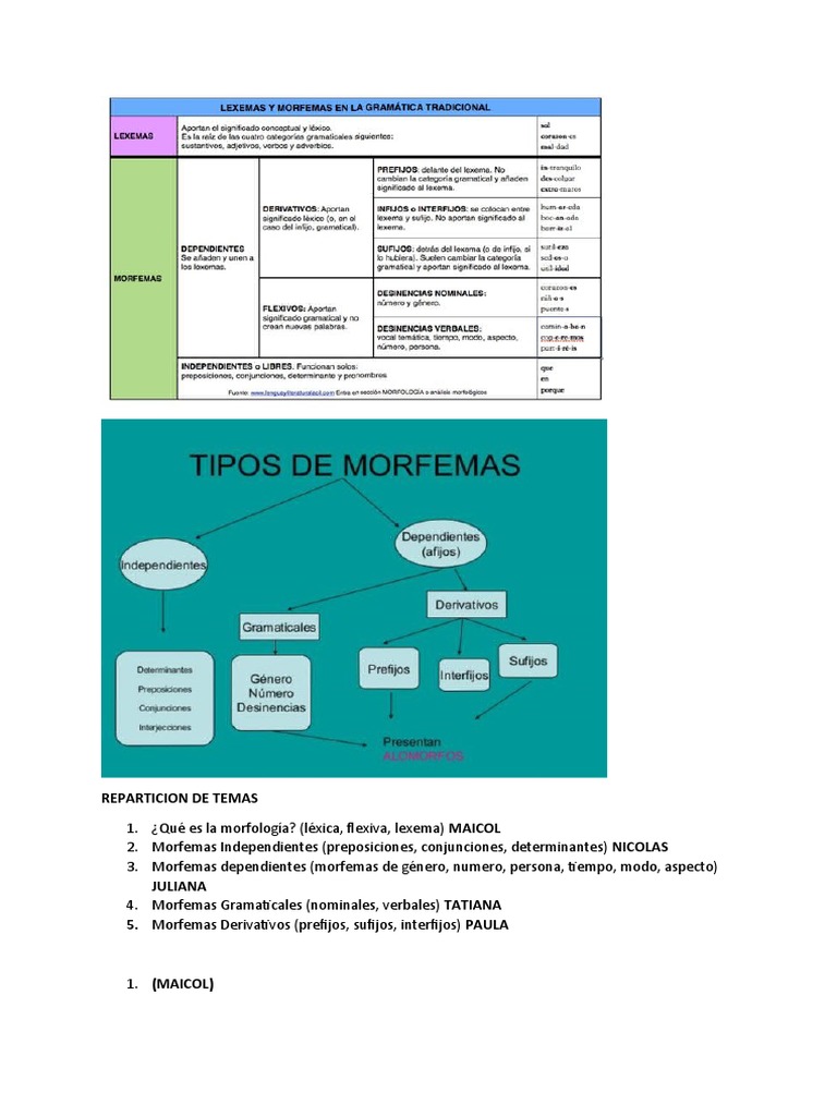 Morfología-Tipos de Morfemas | PDF | Palabra | Numero Gramatical