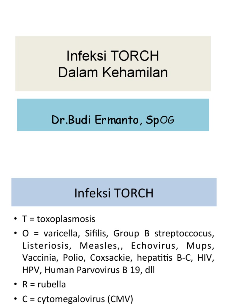 4.infeksi TORCH Dalam Kehamilan | PDF