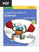 2023 KS1 English Reading Test Mark Scheme | PDF