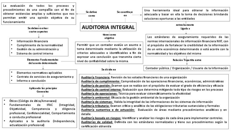 Mapa Conceptual Auditoria Integral | PDF | Auditoría | Business