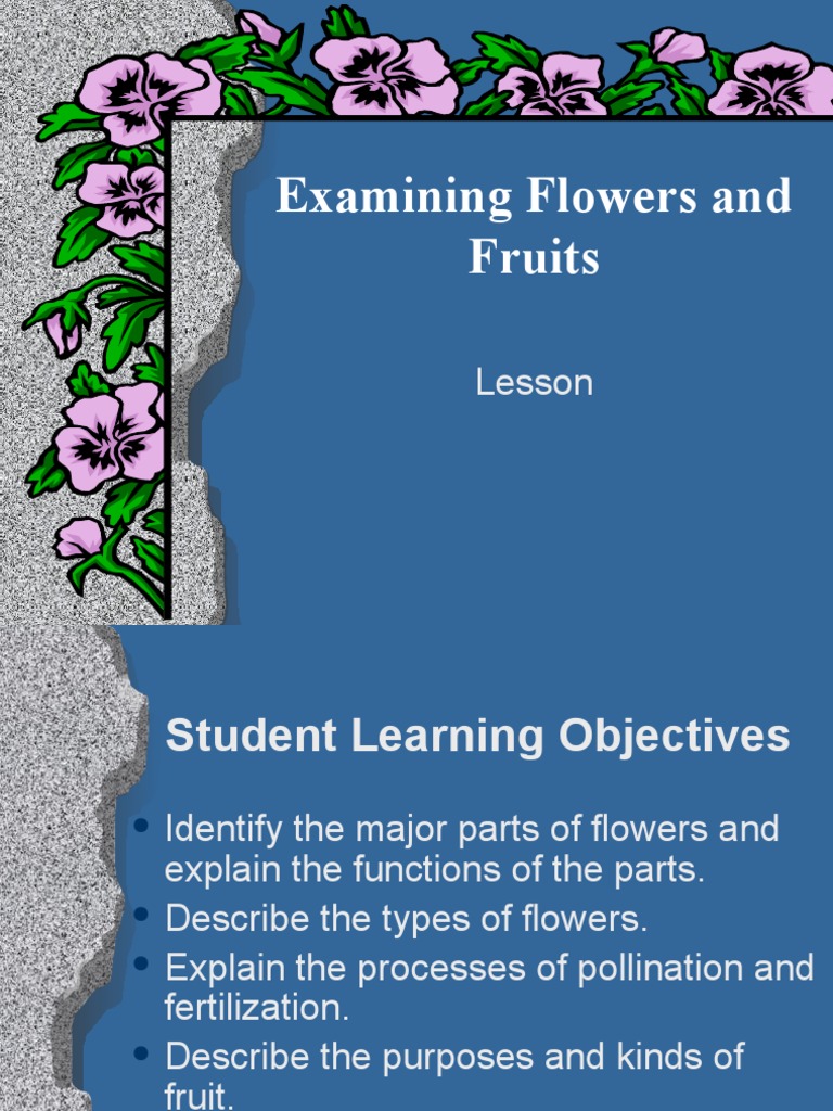 Examining Fruits and Flowers | PDF | Flowers | Seed