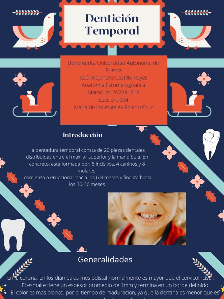 Dentición Temporal: Estructura y Función | PDF | Diente | Esmalte de ...