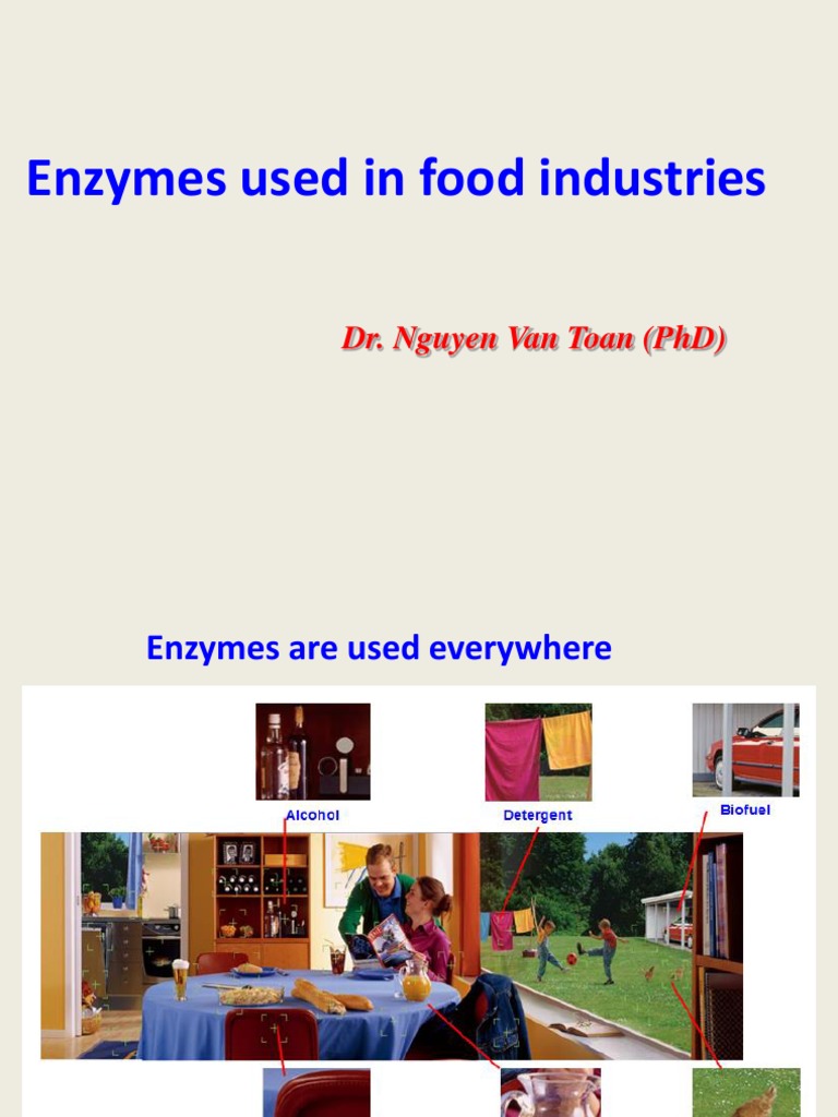 Enzymes Used in Food Industries | PDF | Fructose | Enzyme