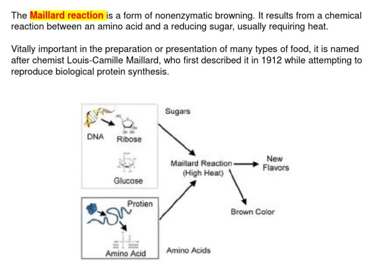 Maillard Reaction | PDF