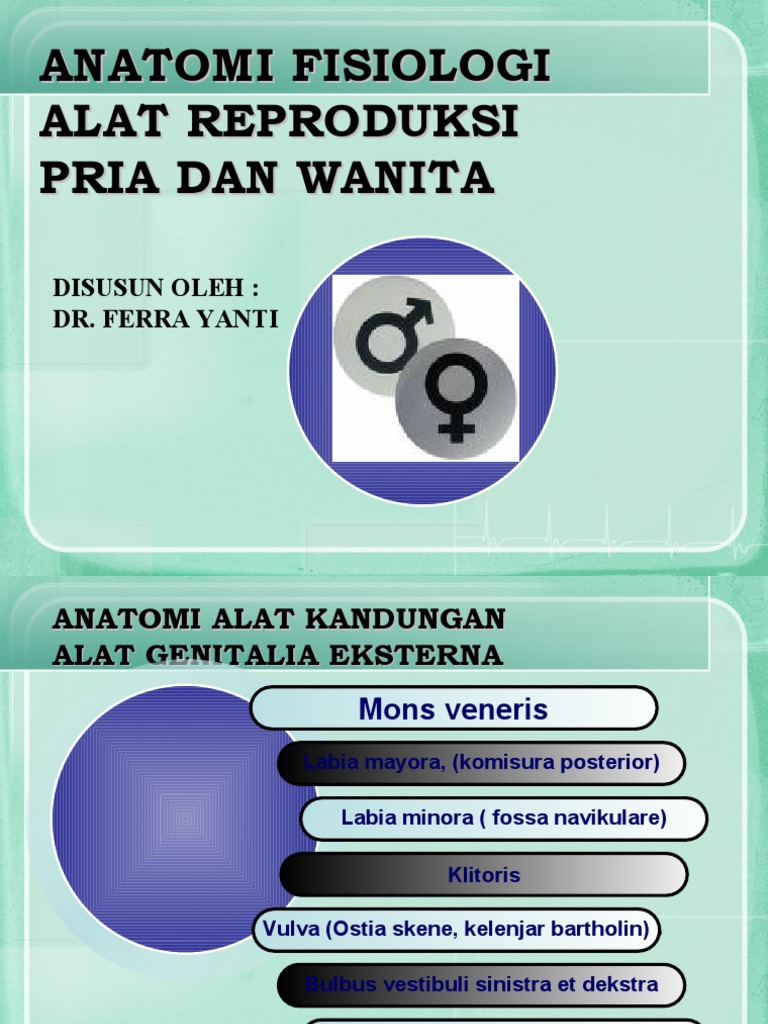 Anatomi Dan Fisiologi Sistem Reproduksi Wanita Dan Pria | PDF