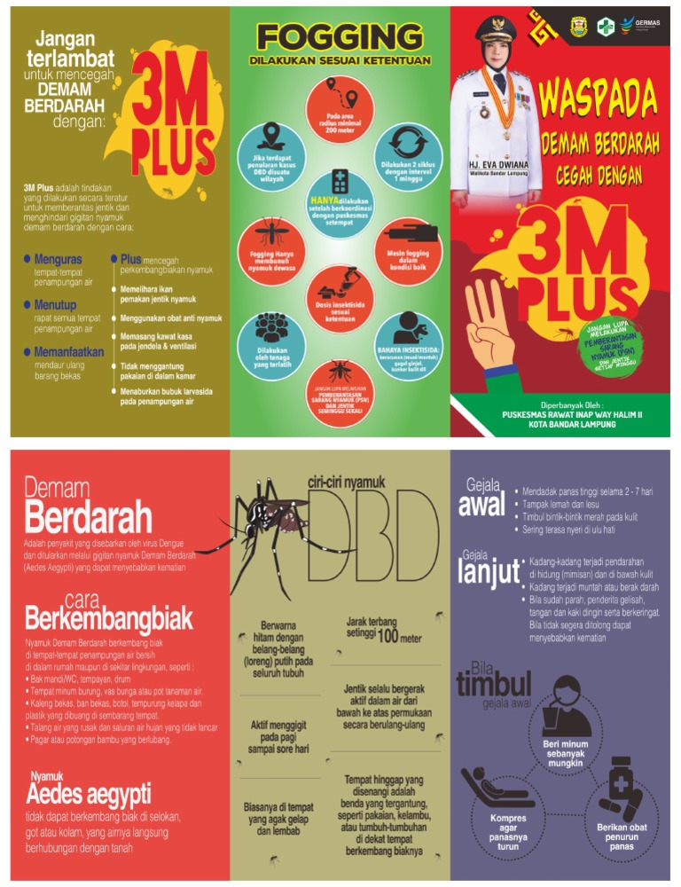 4 - Leaflet DBD | PDF