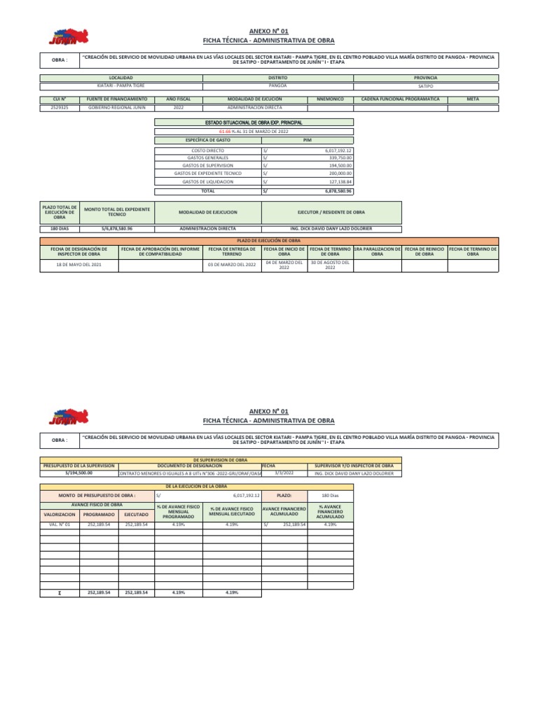 Ficha Tecnica de Obra - Anexo #01 | PDF