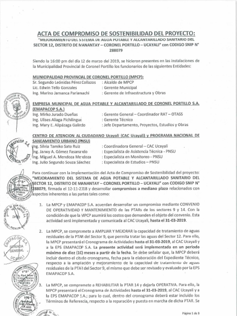 Acta de Compromiso de Sostenibilidad de Proyecto-Snip 288079 | PDF