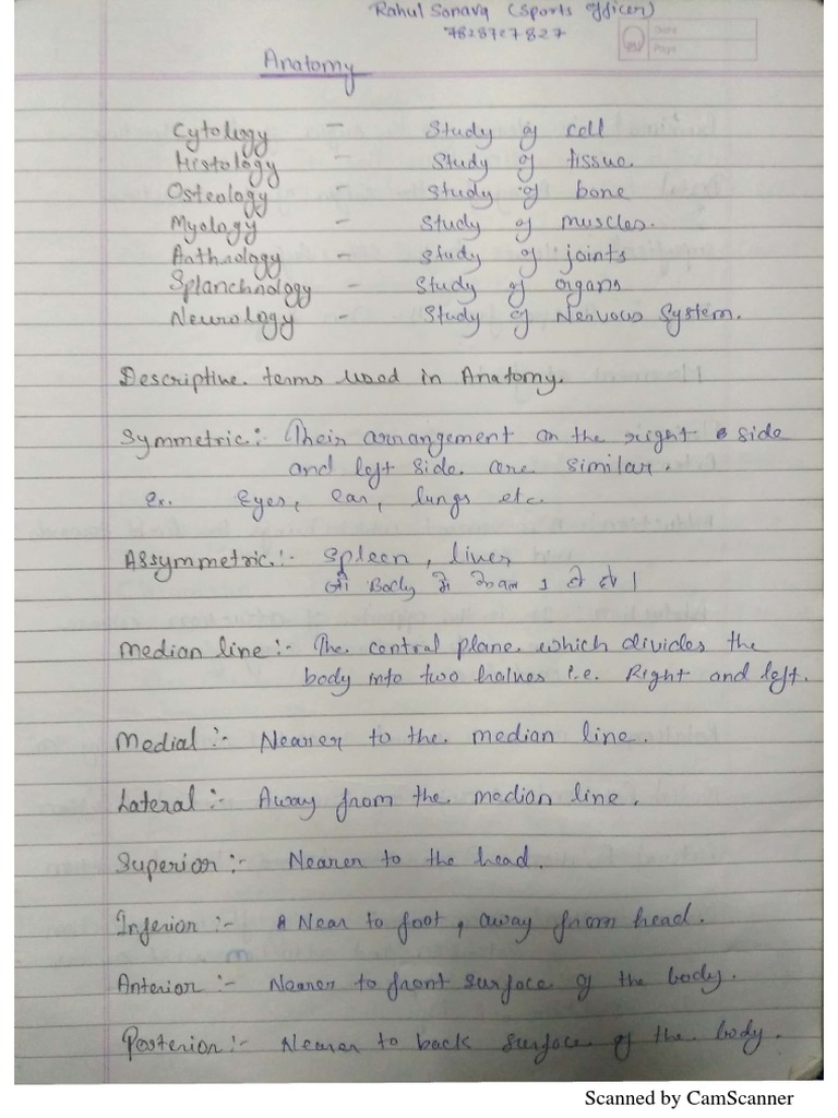 Anatomy and Physiology Notes | PDF