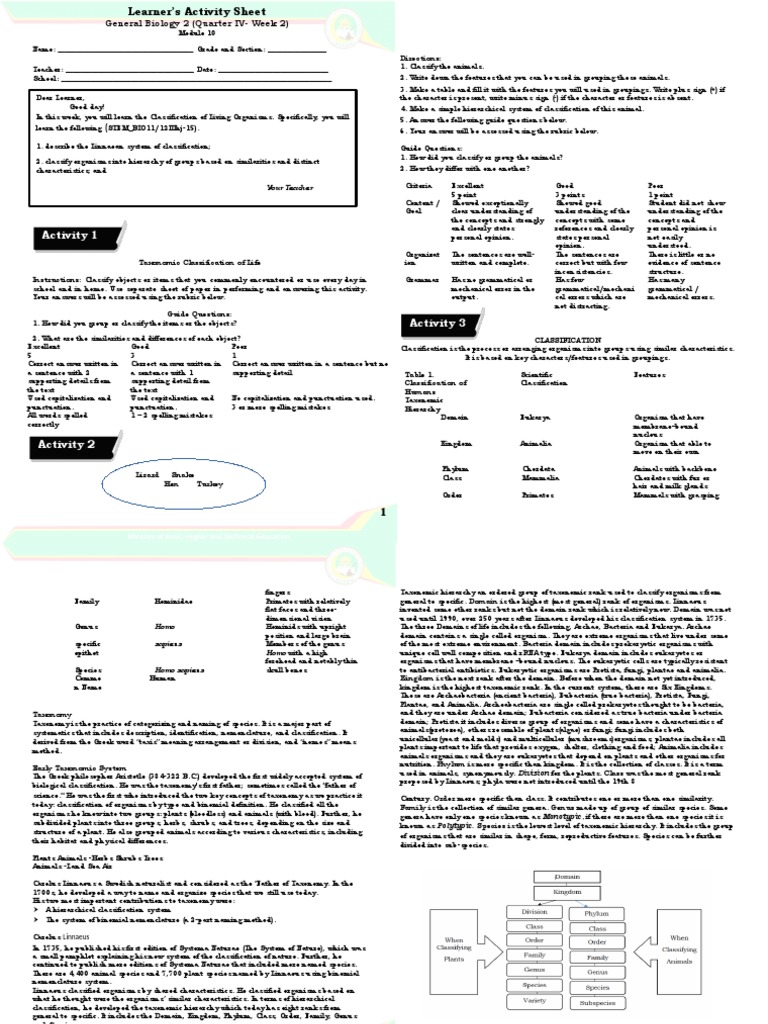 Gen Bio 2 Q4 LAS 2 Module 10 | PDF | Taxonomy (Biology) | Bacteria