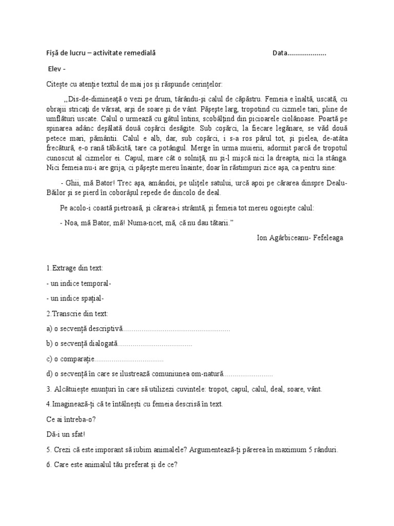 Fisa Activitate Remediala | PDF