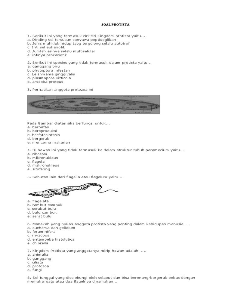 Soal Protista | PDF