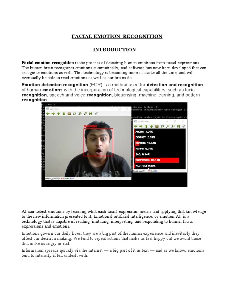 Facial Emotion Recognition | PDF | Machine Learning | Artificial Neural ...