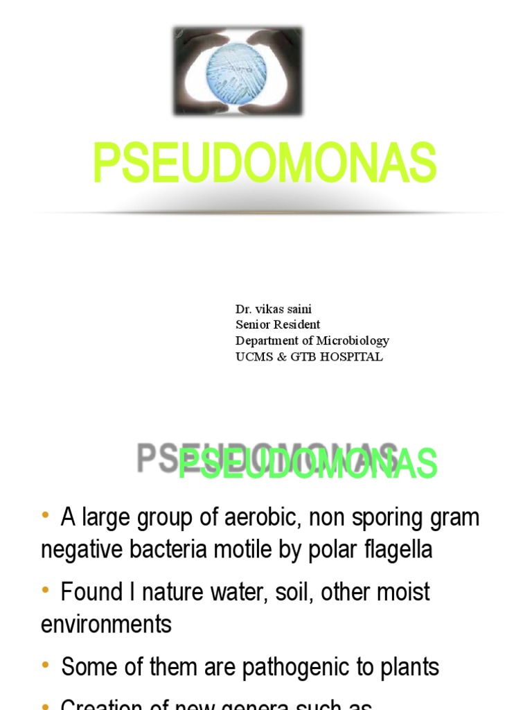 Microbiology Pseudomonas | PDF | Pseudomonas Aeruginosa | Pseudomonas