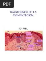Discromías: Tipos y Tratamientos | PDF | Condiciones cutáneas ...