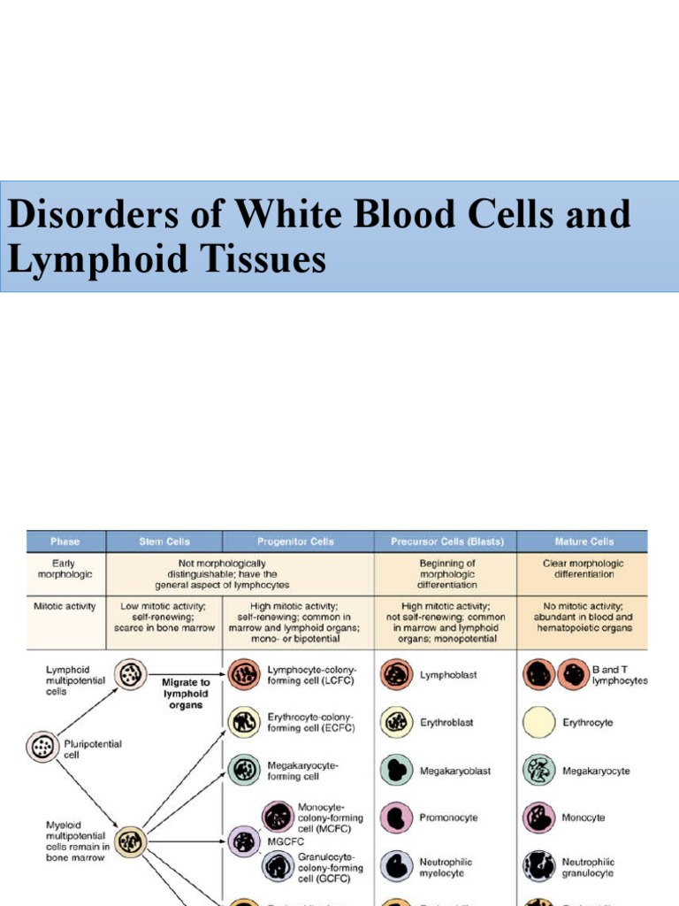 Disorders of White Blood Cells and Lymphoid Tissues | Download Free PDF ...