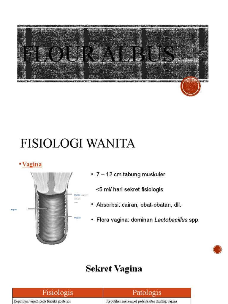 PCS Flour Albus | PDF