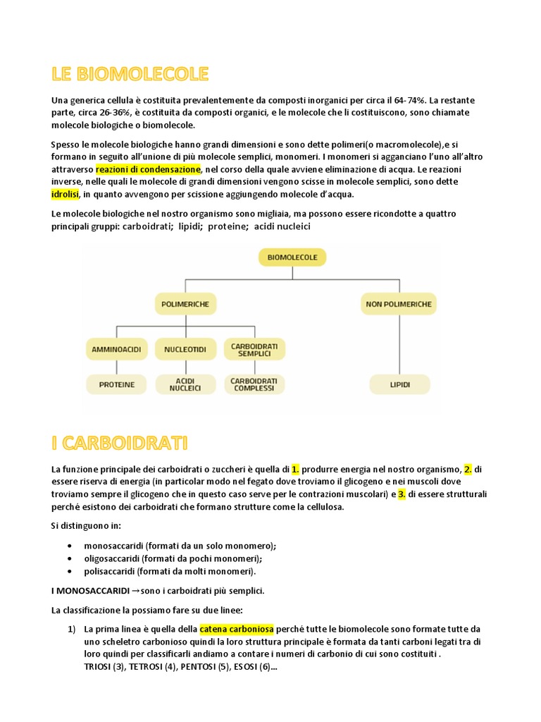 Le Biomolecole | PDF