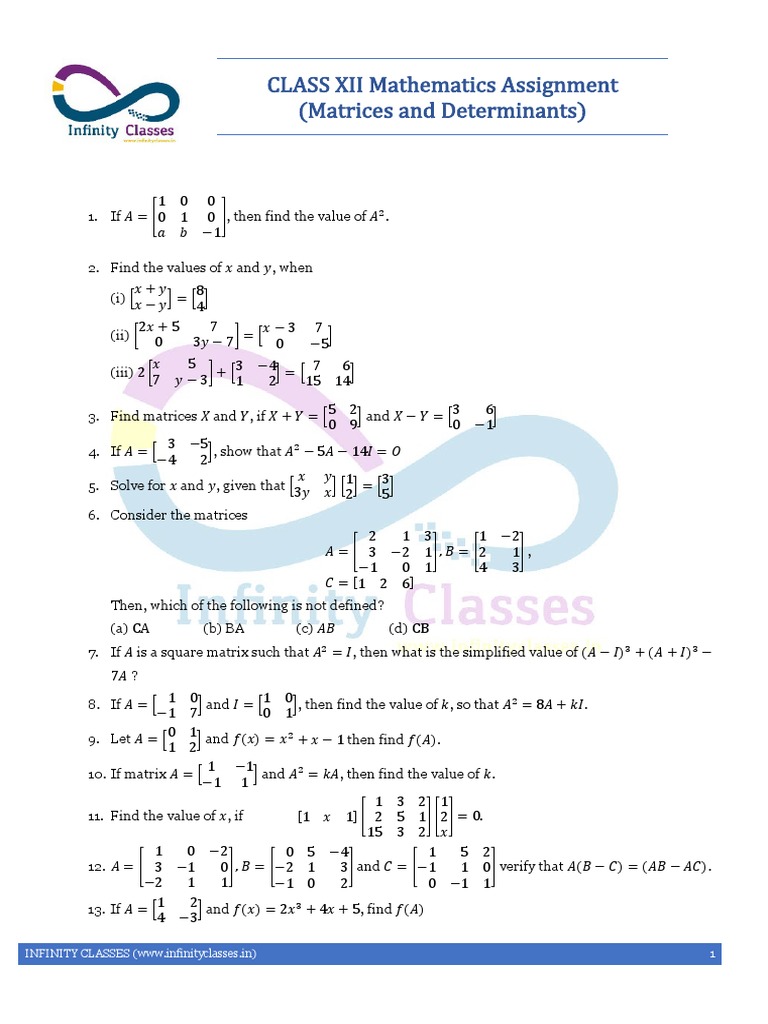 CLASS XII Matrices and Determinants Assignment | Download Free PDF | Matrix (Mathematics ...
