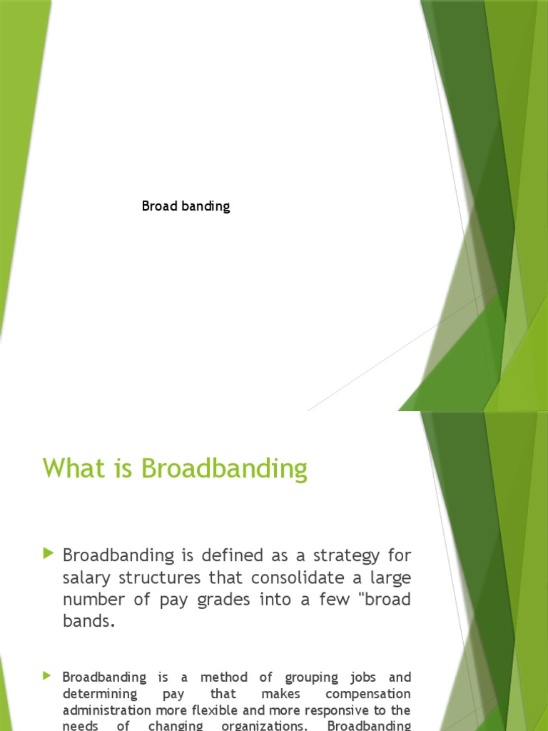 Broadbanding | PDF | Salary | Employment