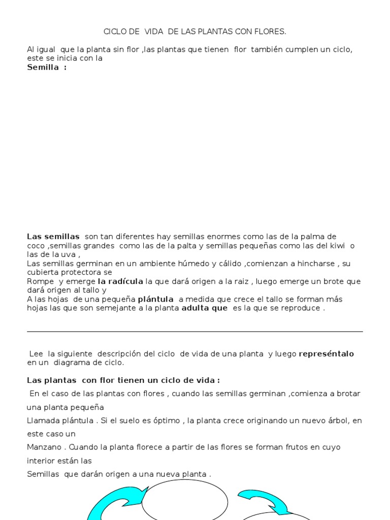 Ciclo de Vida de Las Plantas Con Flores | PDF | Plantas | Semilla