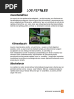 Mandalas 4to Grado | PDF