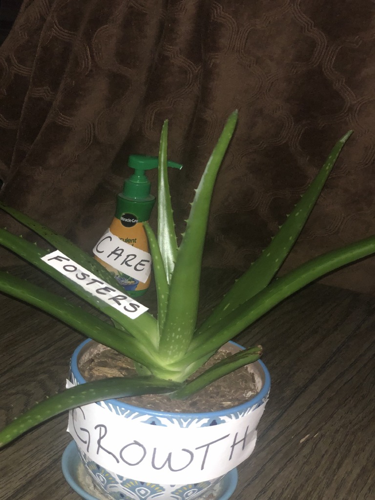 Annotated Img 3721 | PDF