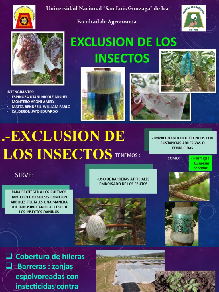 EXCLUSION DE Los INSECTOS | PDF | Insectos | Hormiga