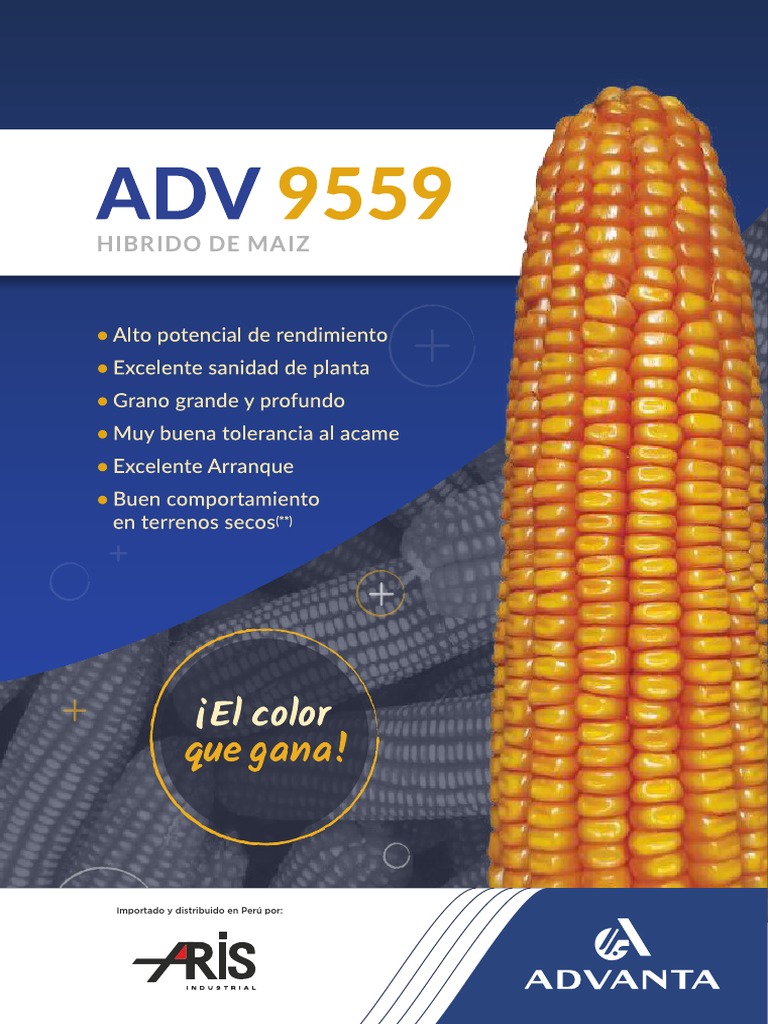 Semilla Advanta 9559-Fichas Tecnicas-20220522115705 | PDF | Plantas ...