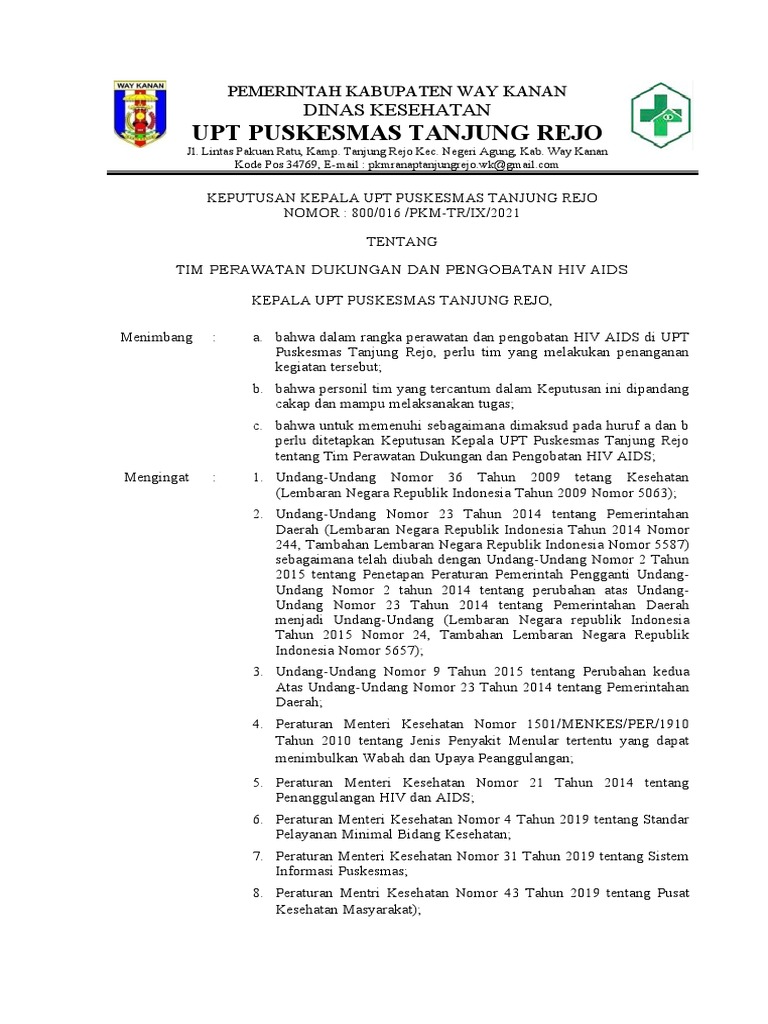 SK Tim PDP Hiv | PDF