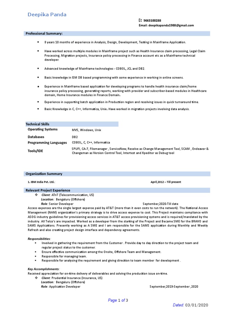 Deepika Panda: Professional Summary | PDF | Mainframe Computer ...