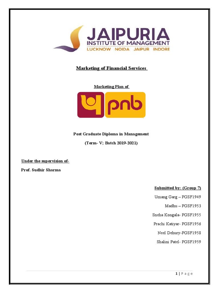 PNB Bank Project | PDF | Banks | Banking