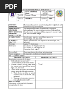 Grade 4 Lesson Plan: The Sun's Importance | PDF | Sun | Lesson Plan