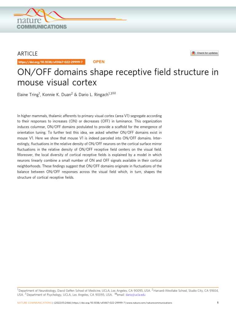 ON-OFF Domains Shape Receptive Eld Structure in Mouse Visual Cortex ...