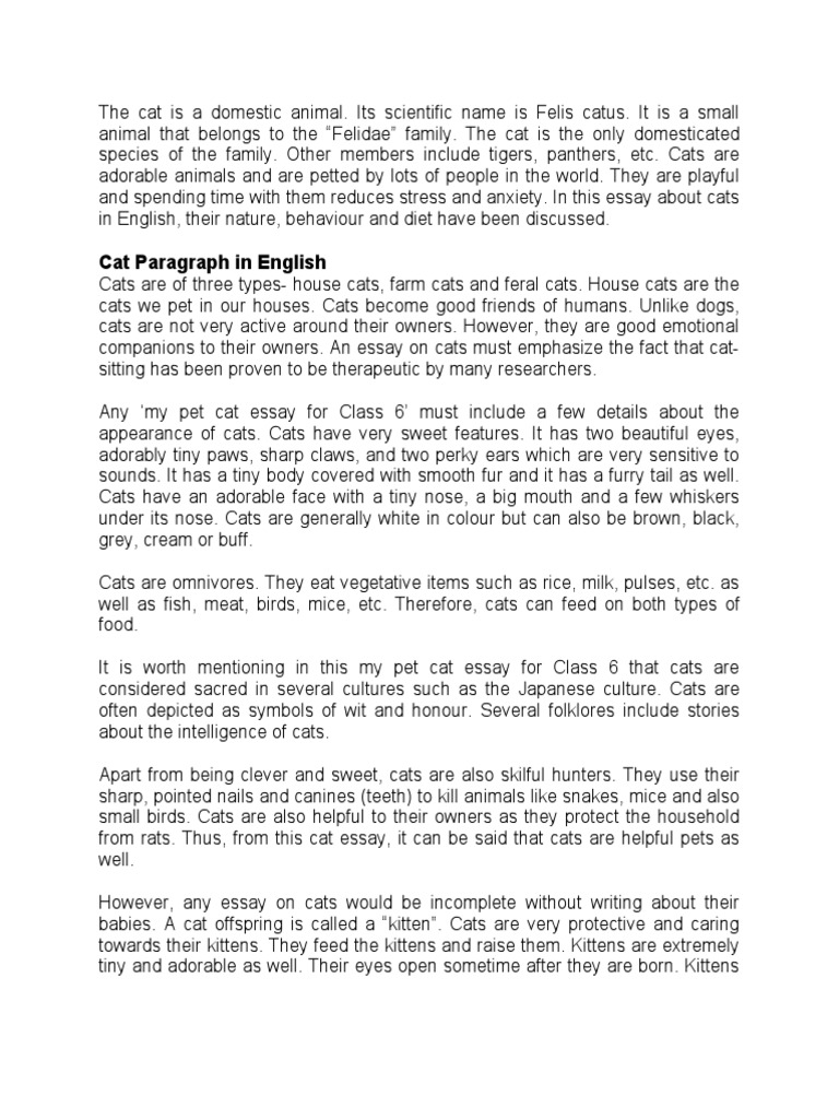 Cat Essay | PDF | Cats | Pet