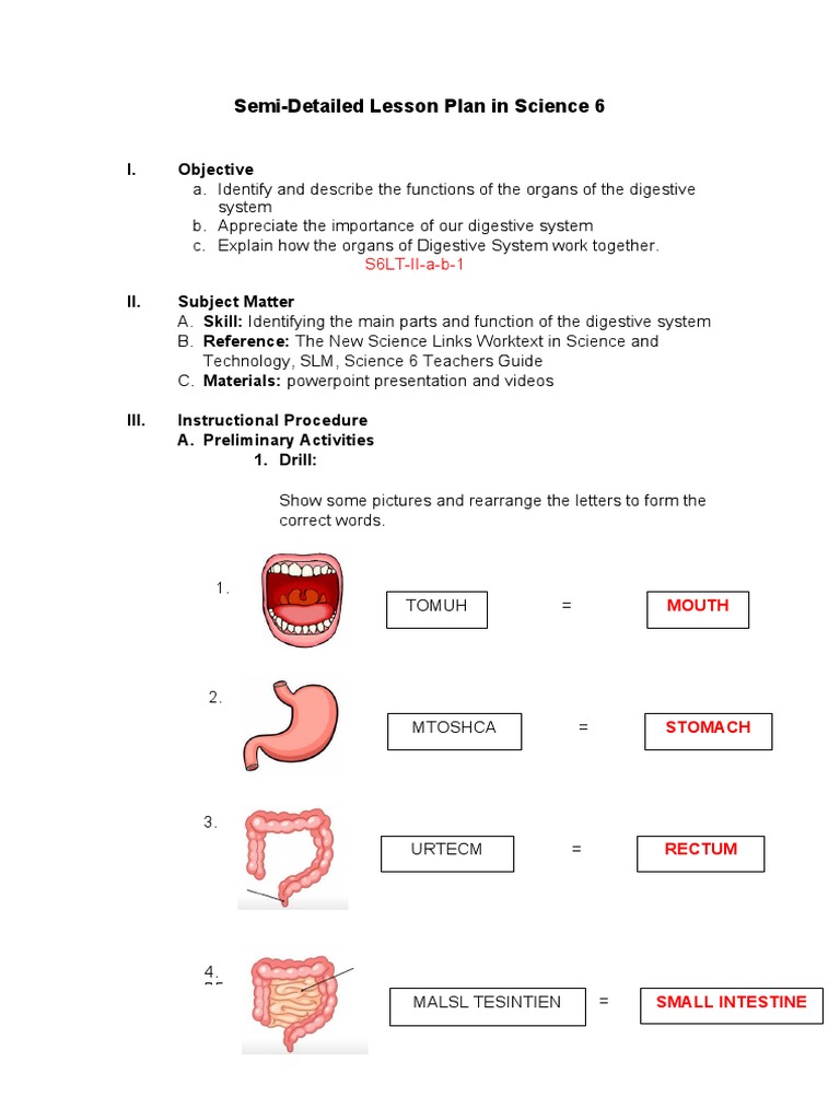 Lesson Plan in Science 6 - DIGESTIVE SYSTEM | PDF | Digestion | Human ...