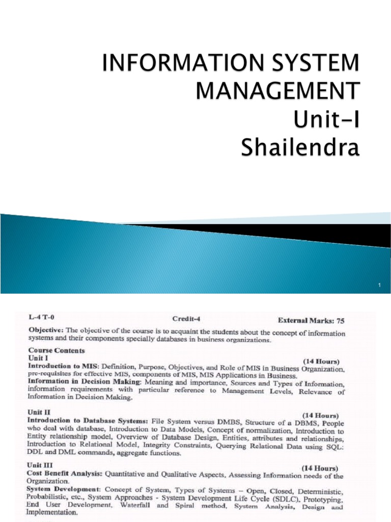 Management Information System | Download Free PDF | Information System ...