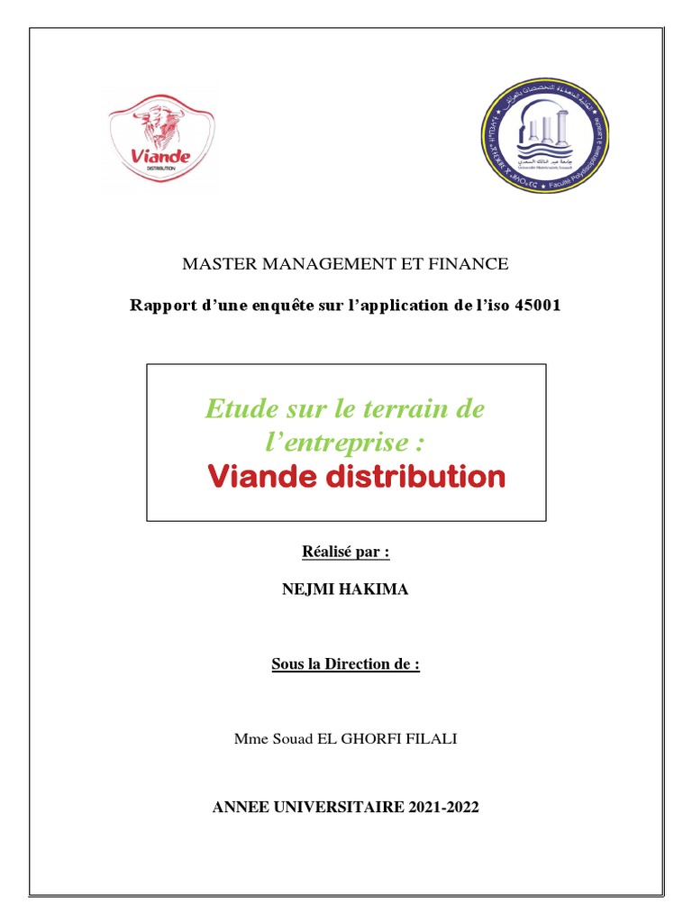 Rapport Filali | PDF | Planification | Risque