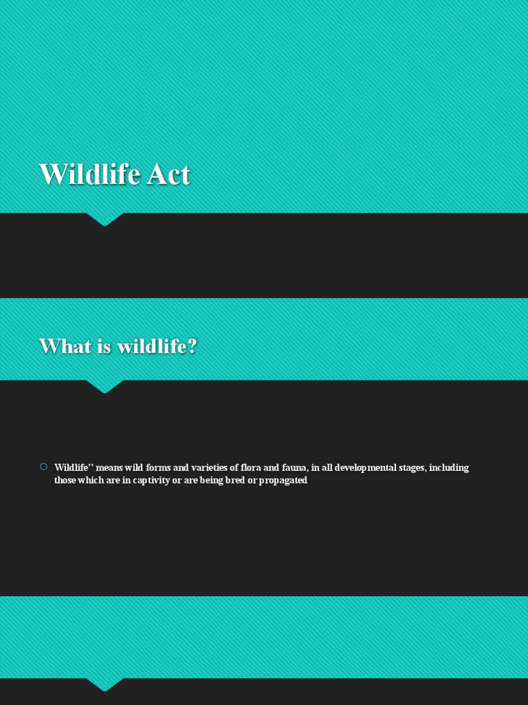 Wildlife Act | PDF | Endangered Species | Species