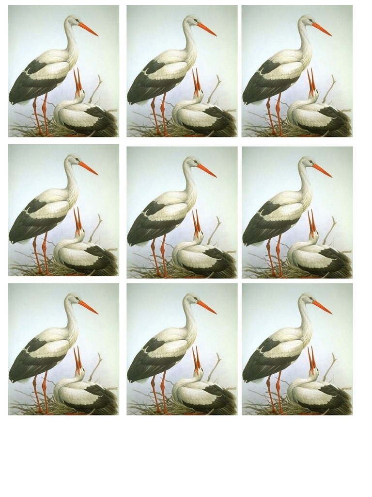 Jetoane Barza Ok2 | PDF