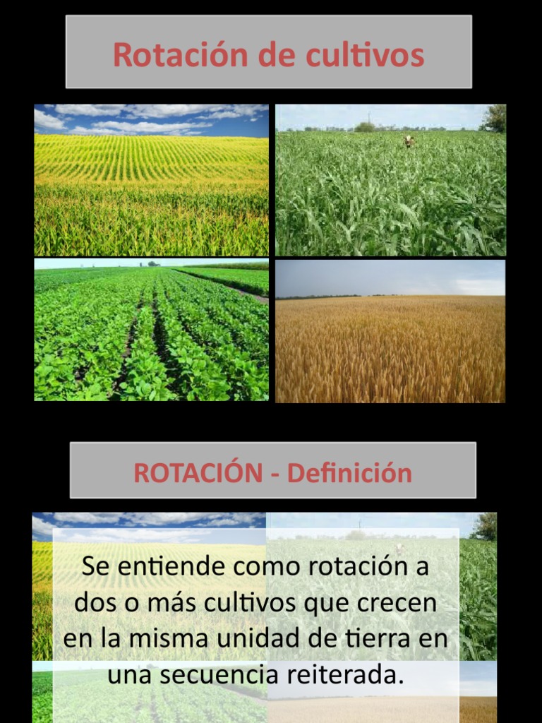 Rotación de Cultivos - Presentación | PDF | Suelo | Agricultura