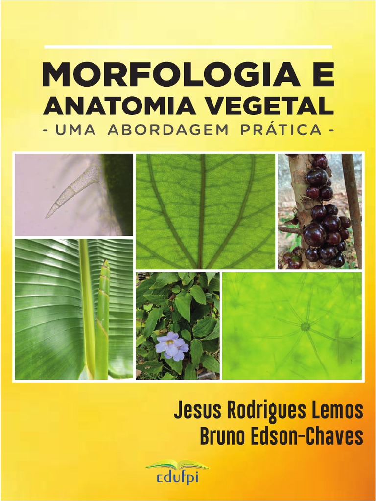 Livro Morfologia Final Final | PDF | Plantas | Science