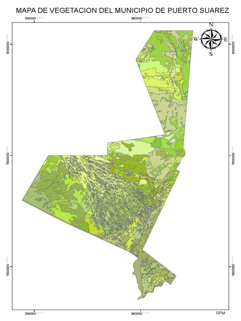 Mapa de Vegetacion de Puerto Suarez | PDF